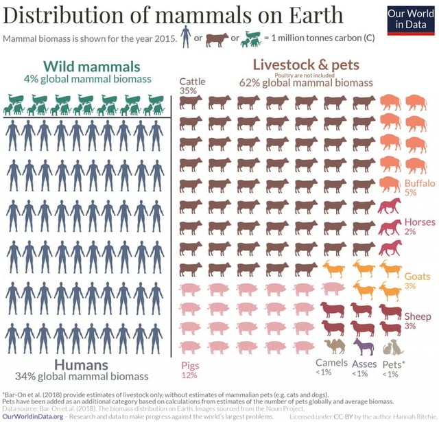 Mammal biomass is Distribution shown of mammals *or, on Earth (C) Our ...