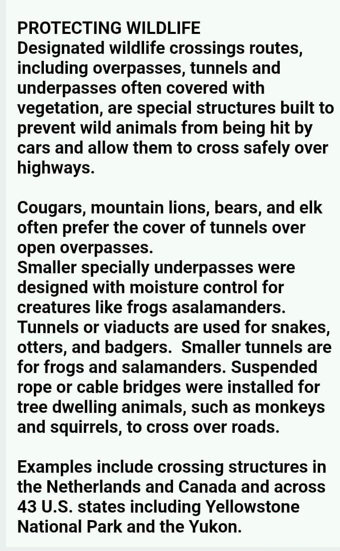 PROTECTING WILDLIFE Designated wildlife crossings routes, including ...